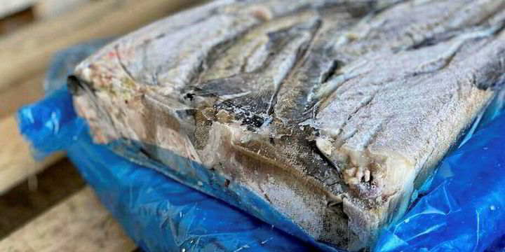 Russian pollock prices crash on domestic market as cold storage crisis ...