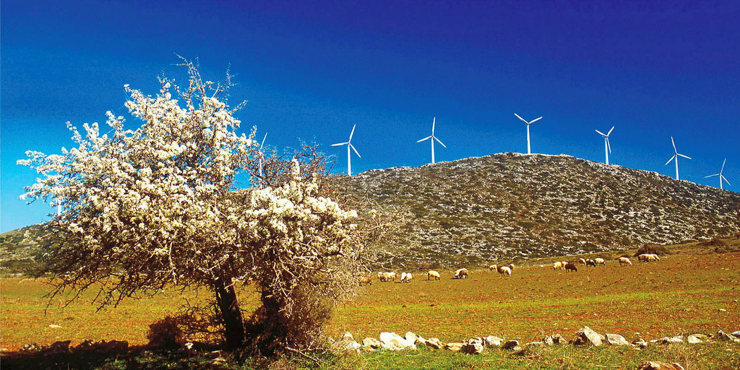 Greece reaches record low price in 'highly competitive' onshore wind ...