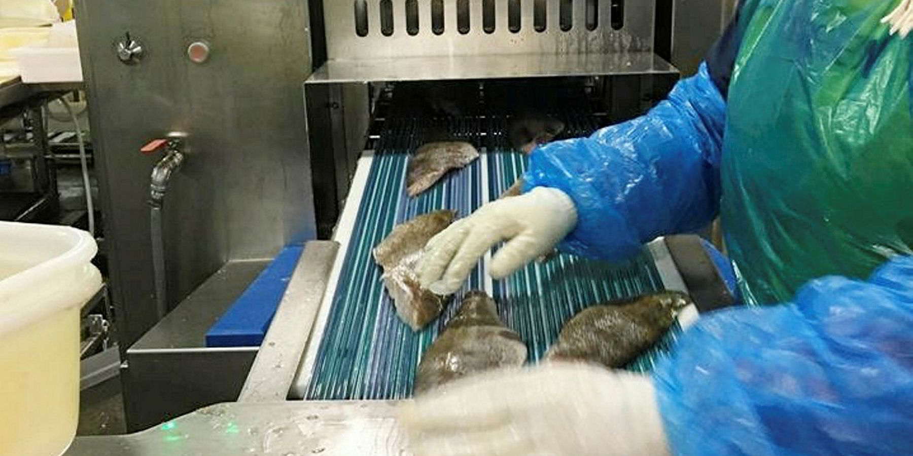 Bornstein CEO: Consolidation of groundfish operations streamlines ...