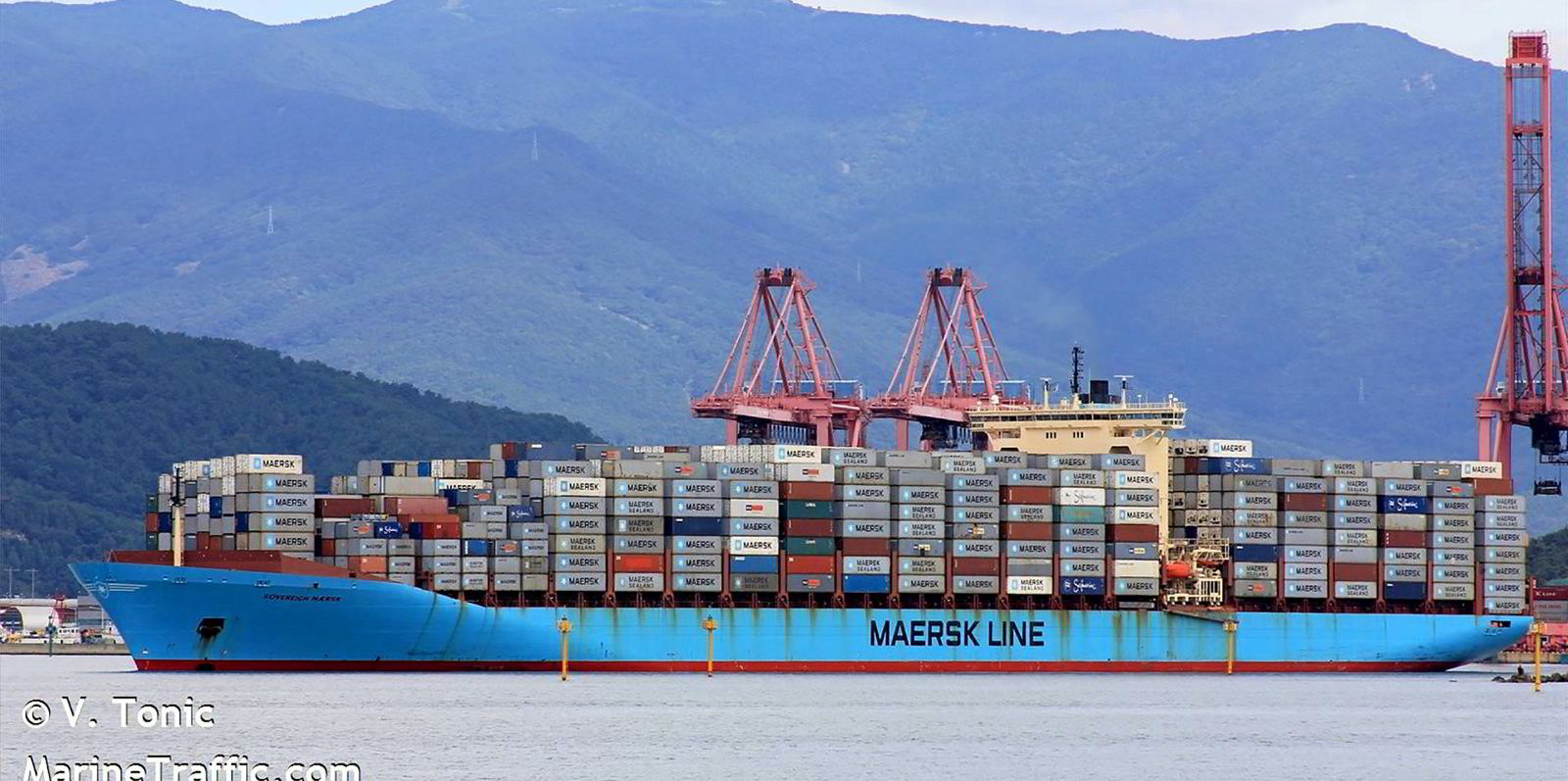 MSC adding to secondhand tally with vintage container ship quartet ...