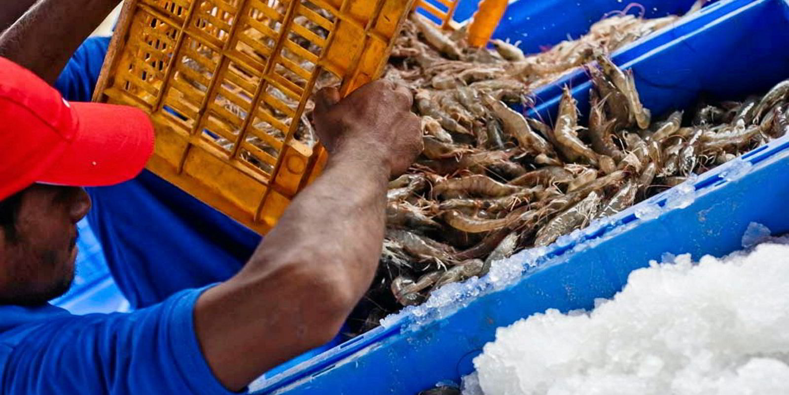 Breaded and battered: Indian shrimp exporters seek new ways to claw ...