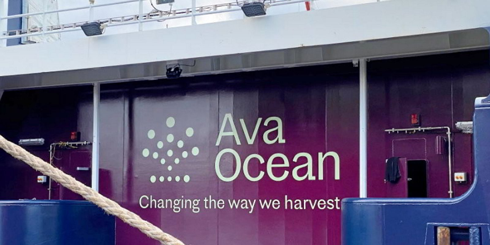 Norwegian scallop startup nabs $4.6 million from government for green project | IntraFish.com