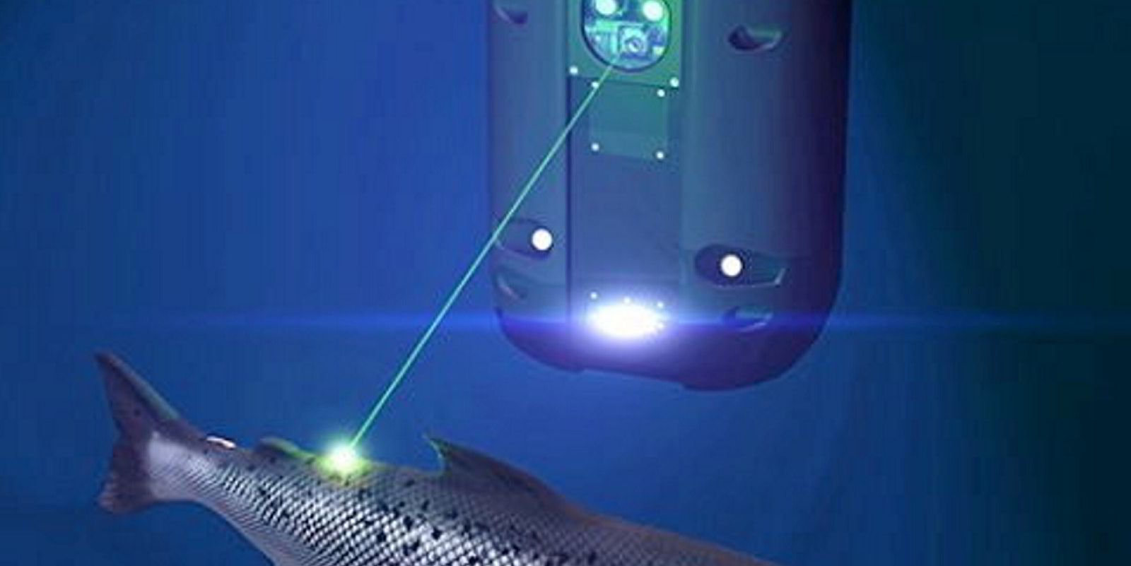 Cermaq to deploy lasers to fight sea lice across sites in Norway ...