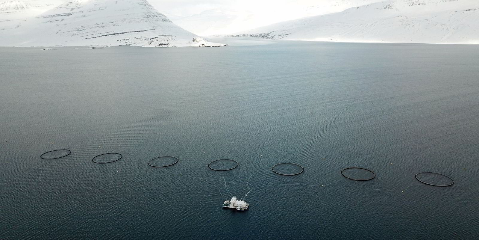 First ever case of pathogenic ISA suspected in farmed salmon in Iceland ...