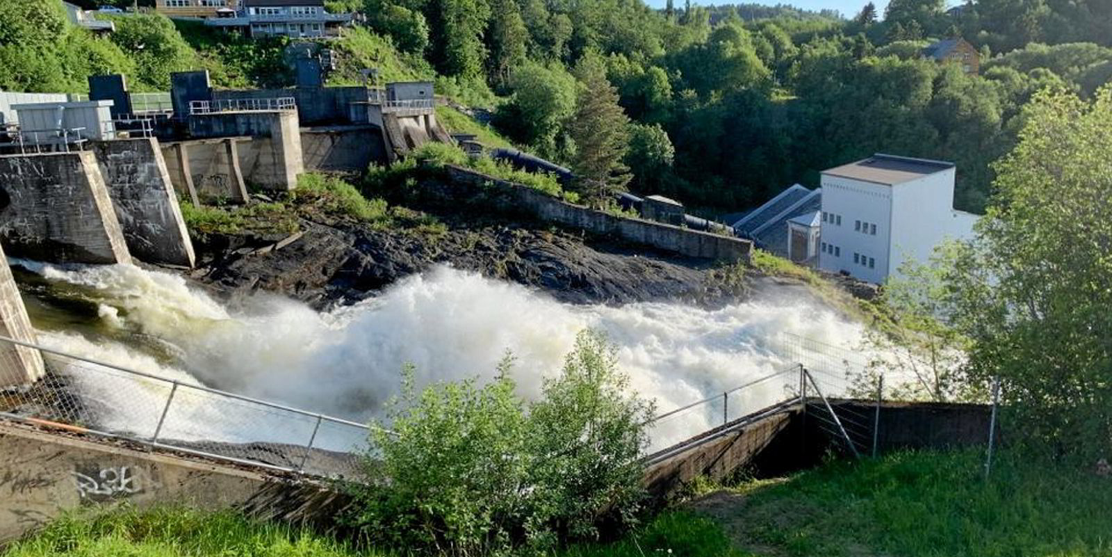 Wikien som sikrer fiskevennlig vannkraft | Europower
