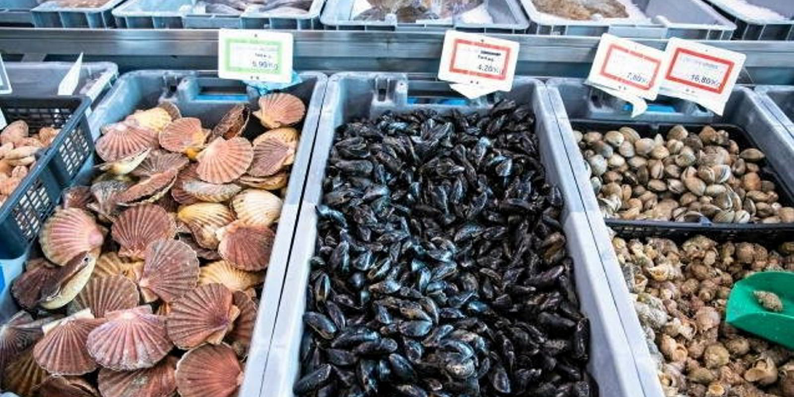 US and EU to resume trade in live, bivalve shellfish after 10-year ...