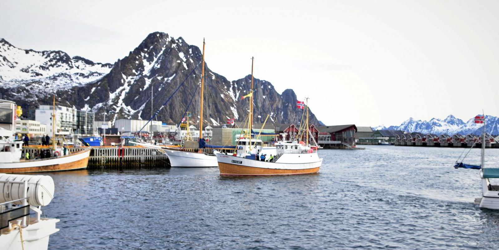 VM i skreifiske i gang med utror og torsketog: Se bildene | Fiskeribladet