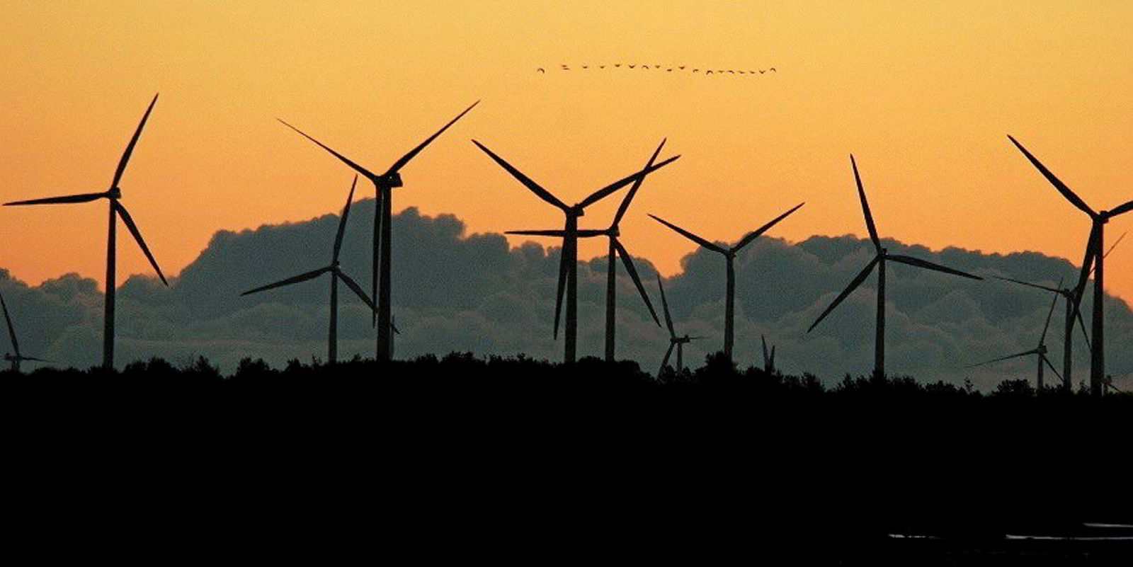 EDPR renewables capacity grows but profit falls after Texas freeze ...