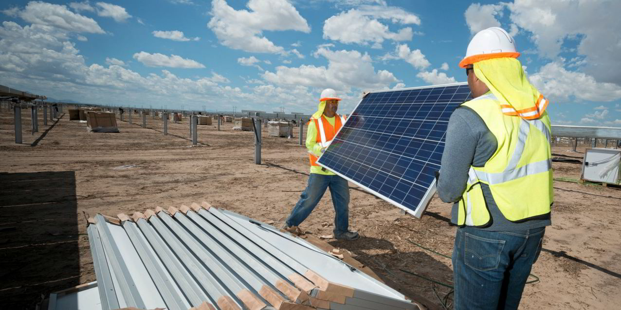 Utility-scale solar power build-out set to outshine wind for first time ...