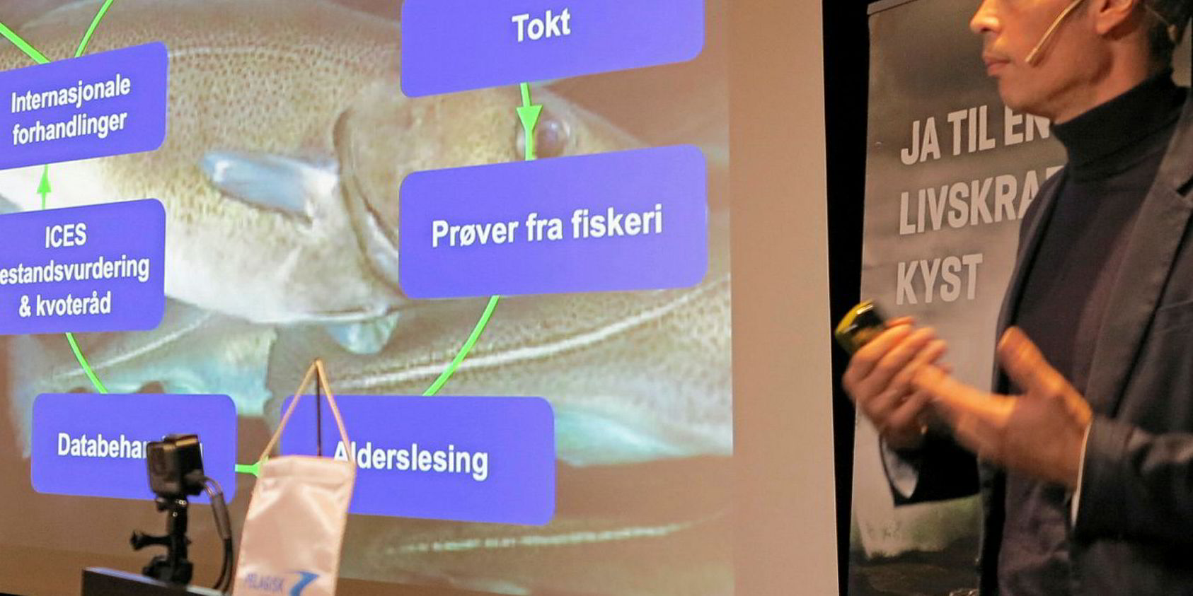 Pelagiske redere setter sin lit til ny høstingsregel for lodde ...