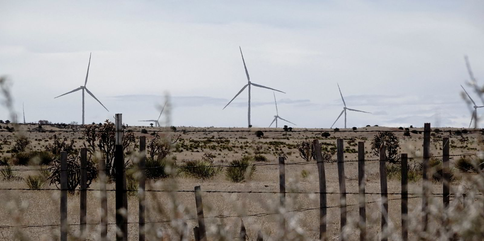 Shell in early swoop for power from vast $5 billion US wind farm that ...