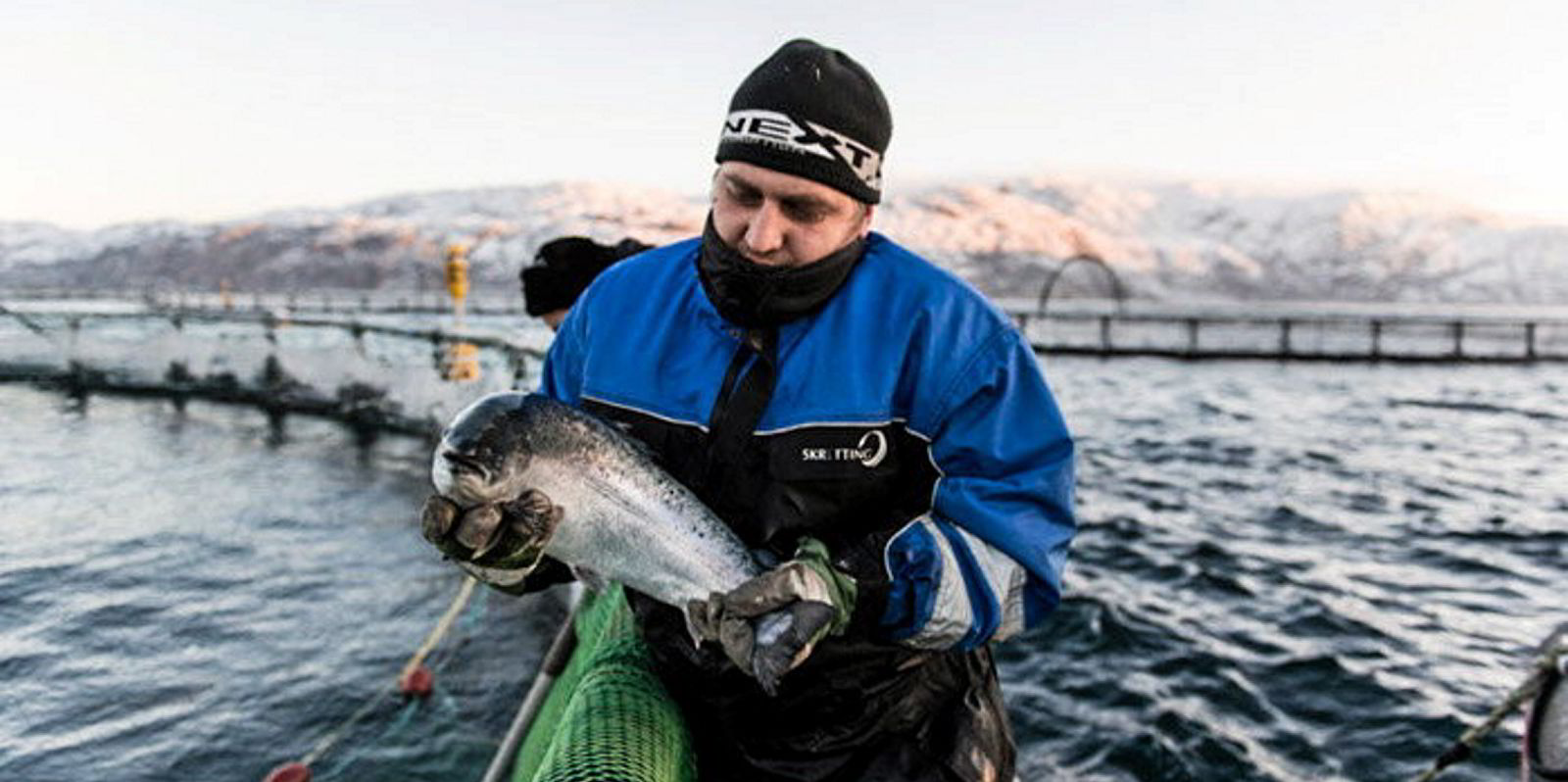 Russia’s largest salmon farmer in talks to acquire trout producer ...