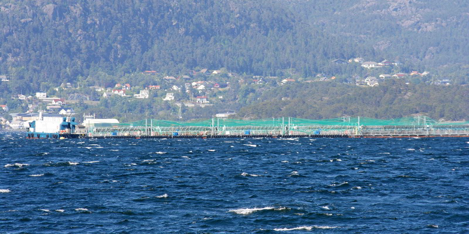 Alsaker om grunnrente: – Ein skal vera ganske godt kjent innanfor ring ...