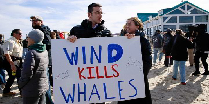 From dead whales to nimbys: seven big headaches for American offshore ...