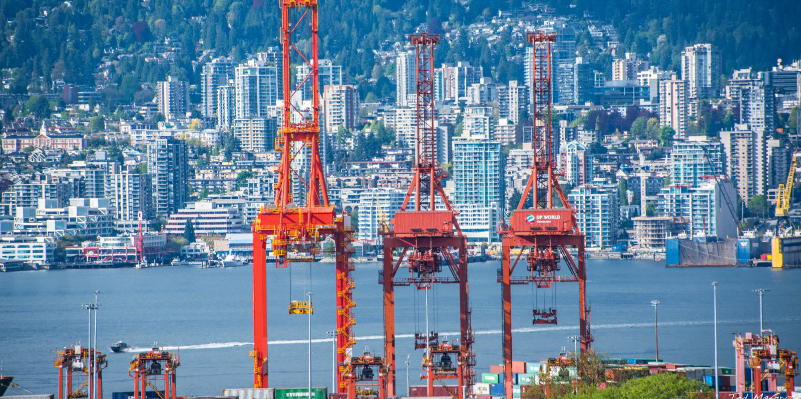 Affinity Shipping targets dry cargo in the Americas with new Vancouver ...