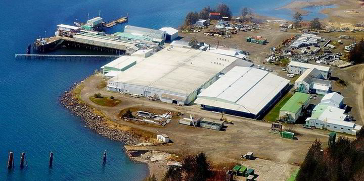 OBI Seafoods suspends operations at Alaska cannery, citing poor salmon ...