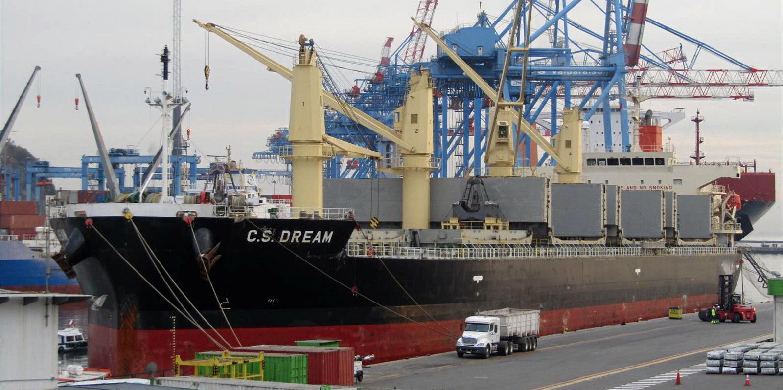 Densay and Apollonia Lines feast on Japanese-built secondhand bulkers ...