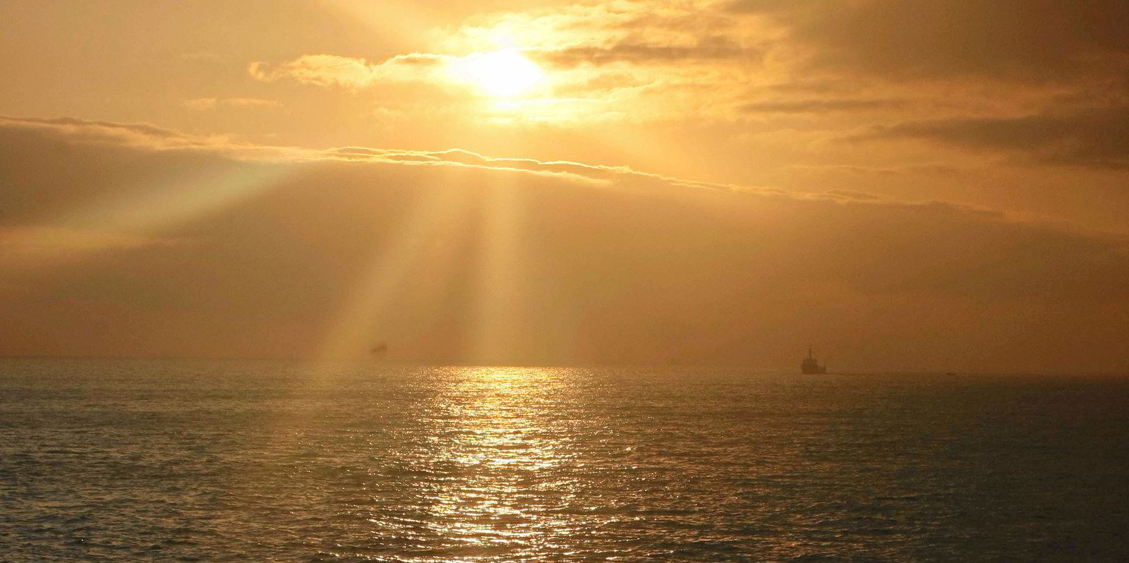 Shenandoah gets the green light | Upstream Online