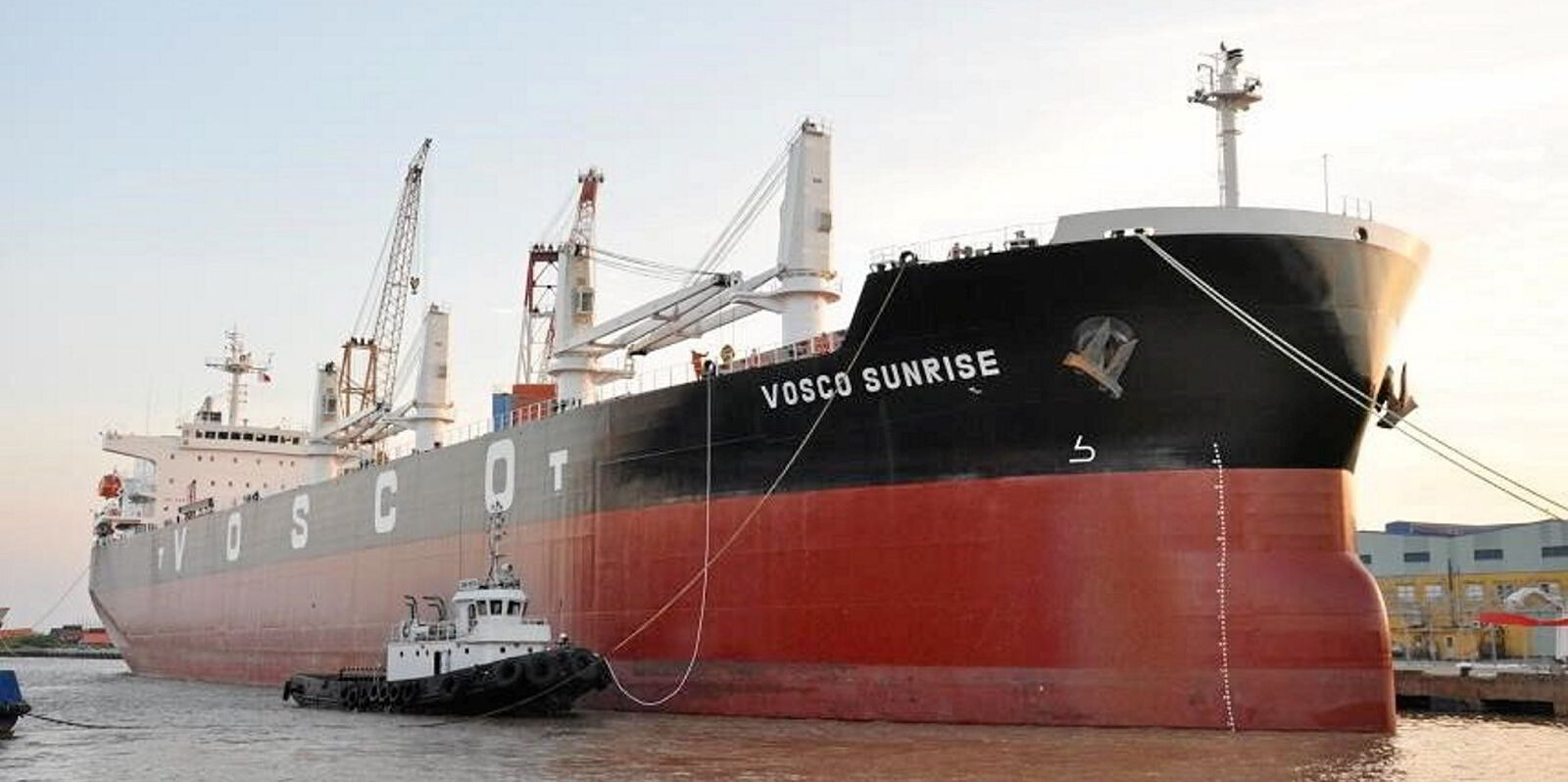 Vietnam’s Vosco strikes again with second bulker buy | TradeWinds