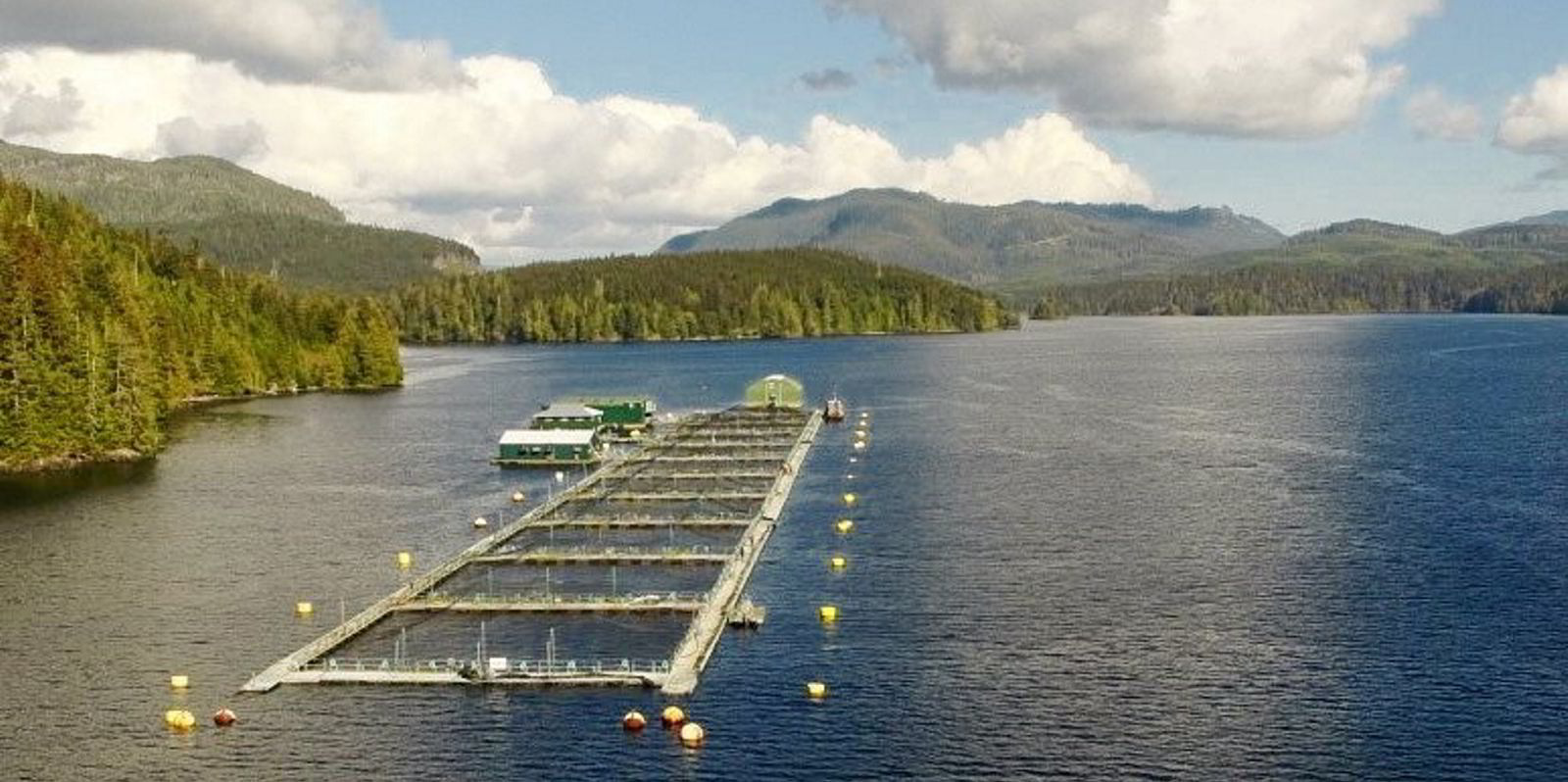 Canada Fisheries minister mum on whether closed-containment salmon ...