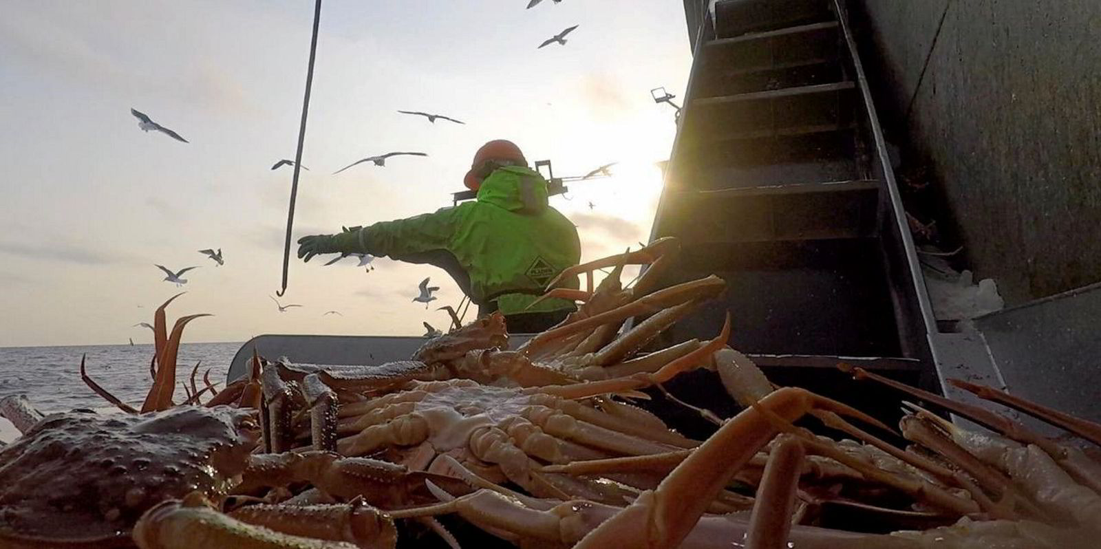 'Really devastating news': US crab industry faces bankruptcies ...