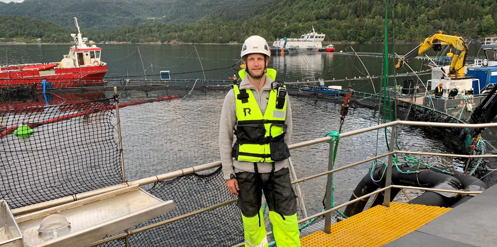 Fersk luserapport fra Havforskningsinstituttet: – Dette ser ikke bra ut | IntraFish.no