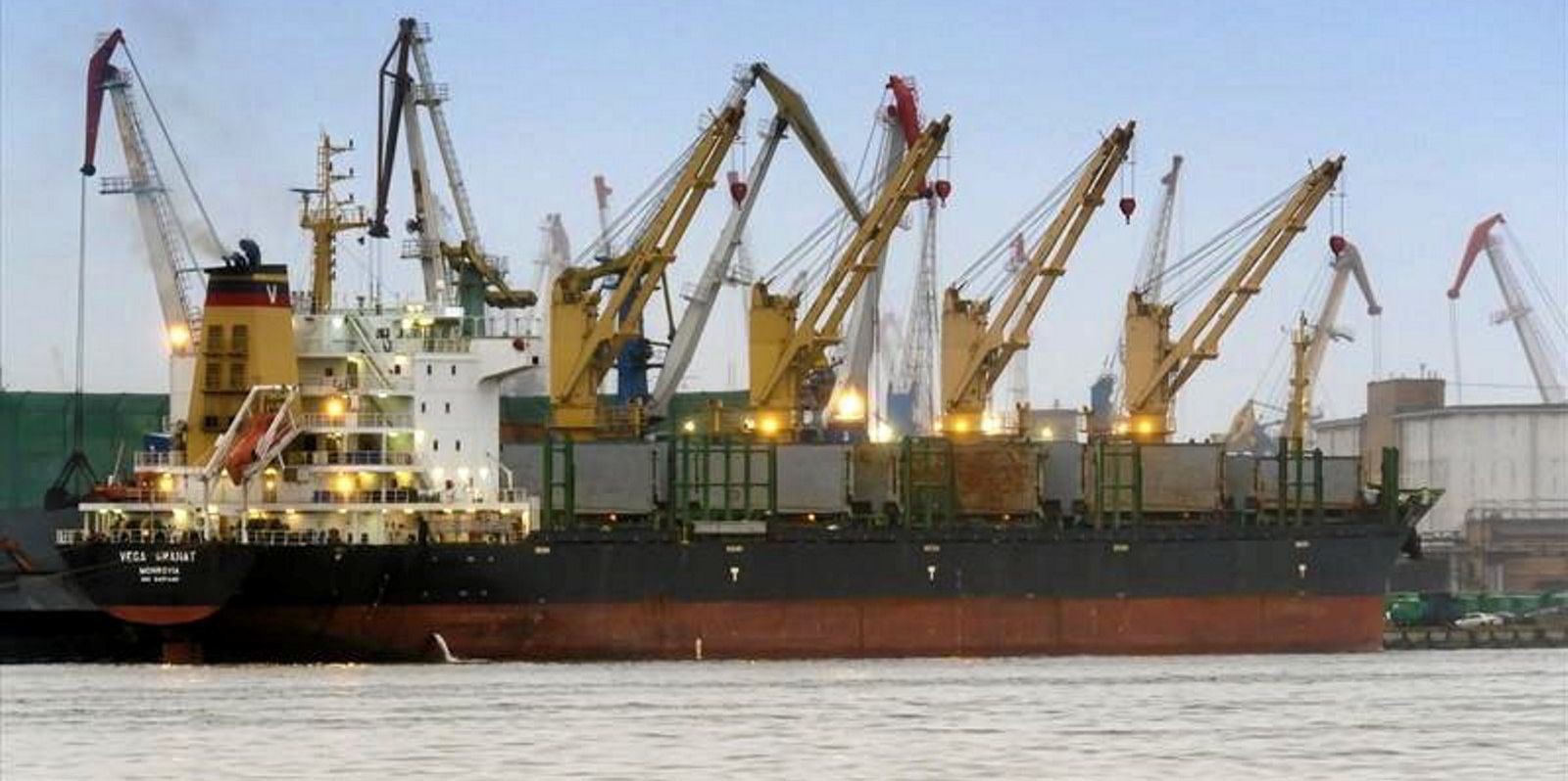 Vega and Su-Nav target 85 ships for new management venture | TradeWinds