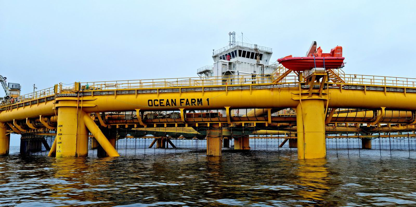Ocean Farm-arbeidet går etter planen | IntraFish.no
