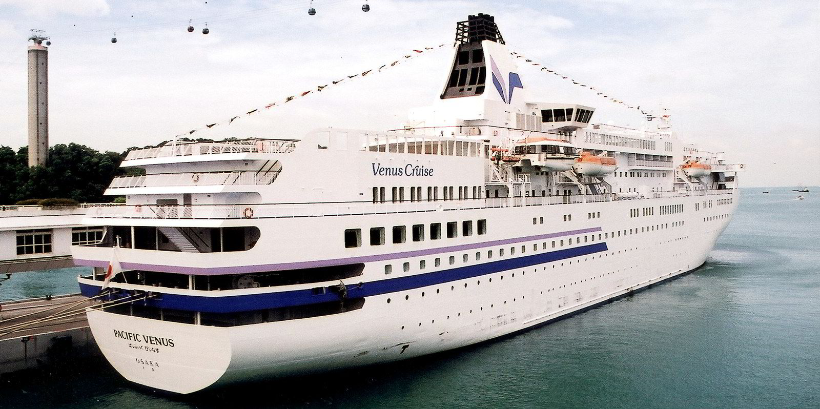 Shin Nihonkai pulls plug on subsidiary Venus Cruise | TradeWinds