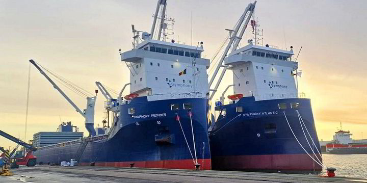 ForestWave buys private equity-backed multipurpose operator Symphony Shipping | TradeWinds