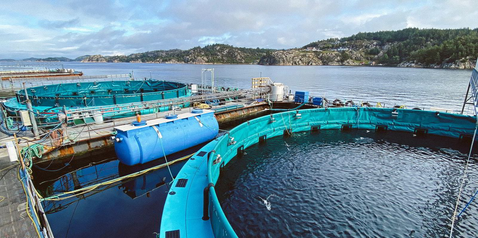 Merdslippen har utviklet lukkede merdposer: – Alt vi har gjort er ...