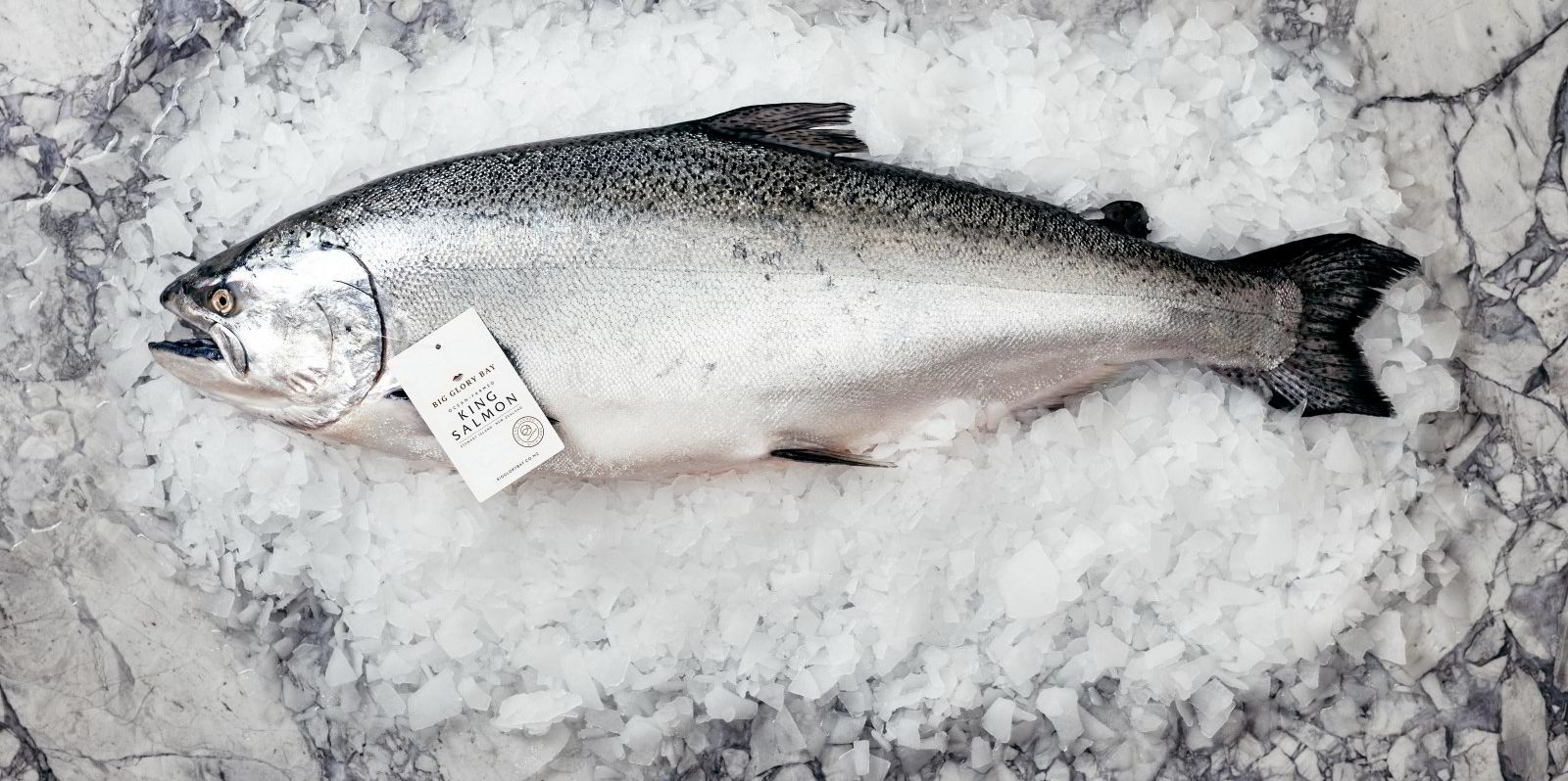 'Salmon farming has been elevated in our priorities': New Zealand ...