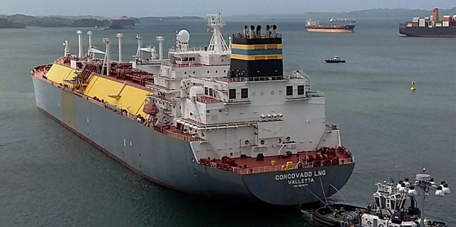 Will December deals on TMS Cardiff Gas vessels still stand? | TradeWinds