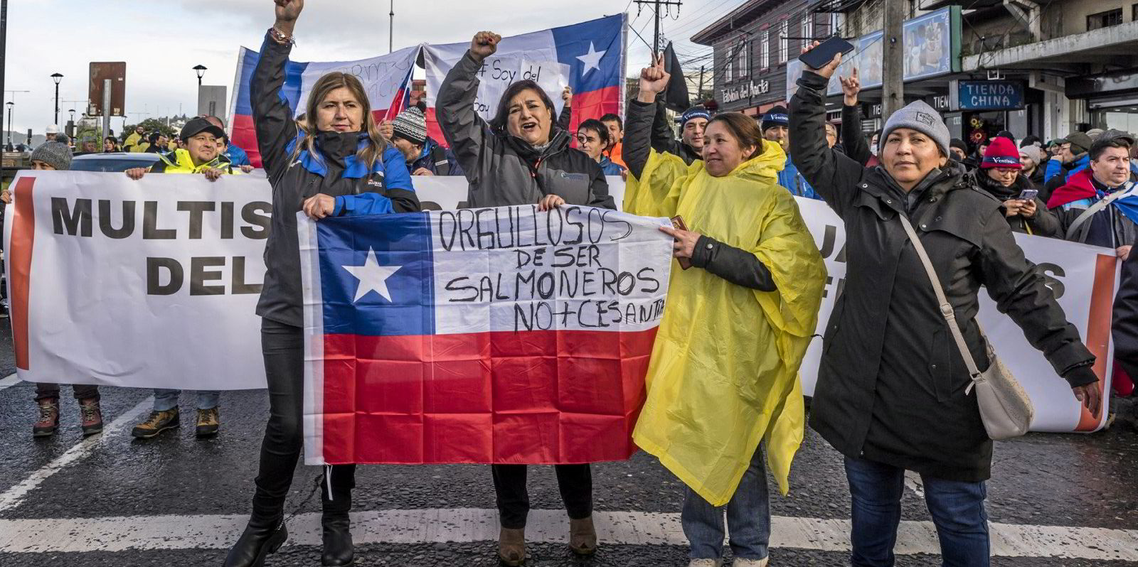Chilean salmon farming industry celebrates as 11th hour vote halts ...