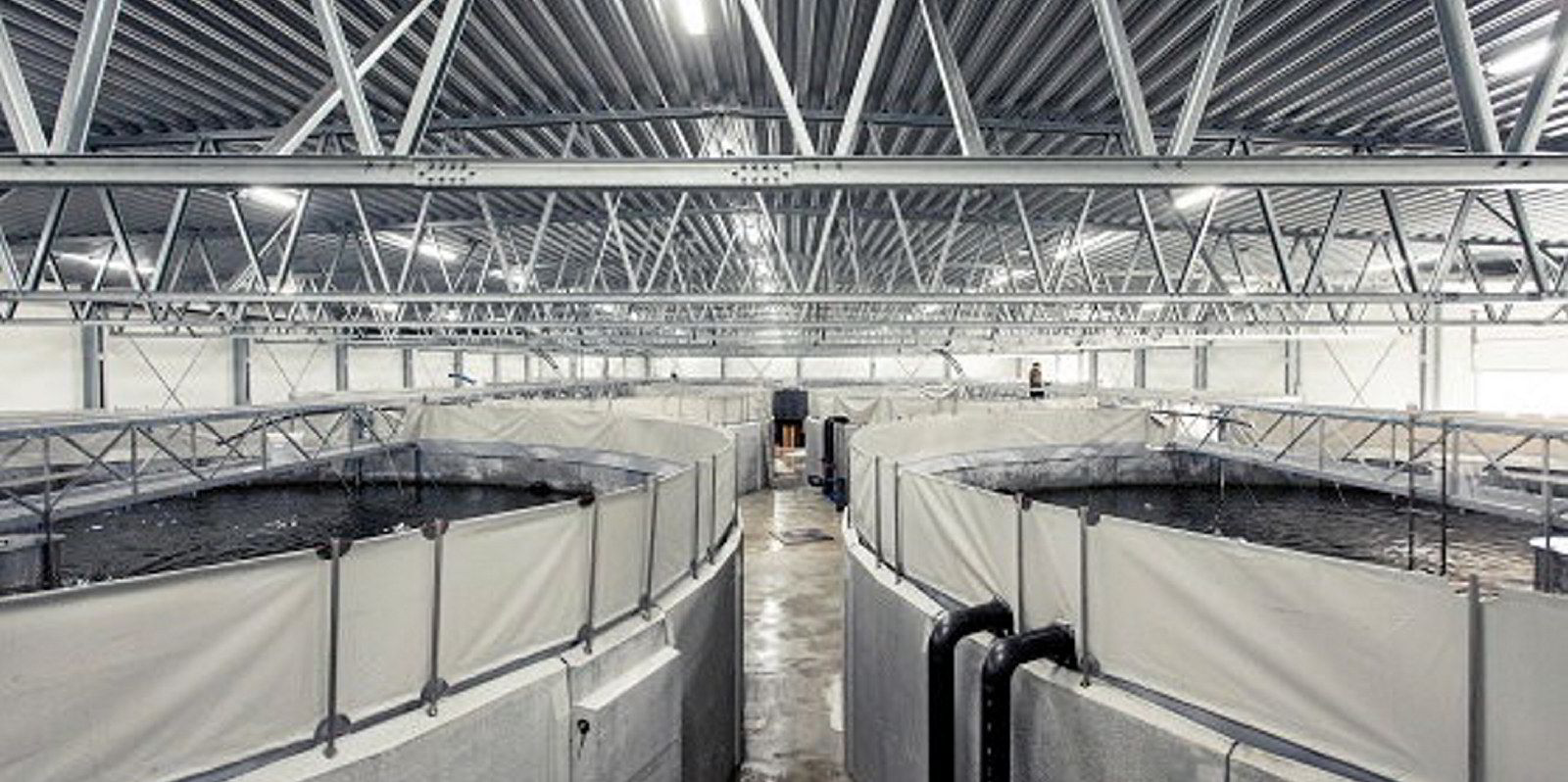 Sævareid fiskeanlegg skal prøve ut nytt skybasert varslingssystem for ...