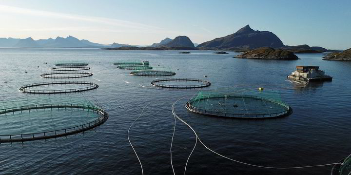 Can salmon farming netpens be recycled? Aquaculture equipment group ...