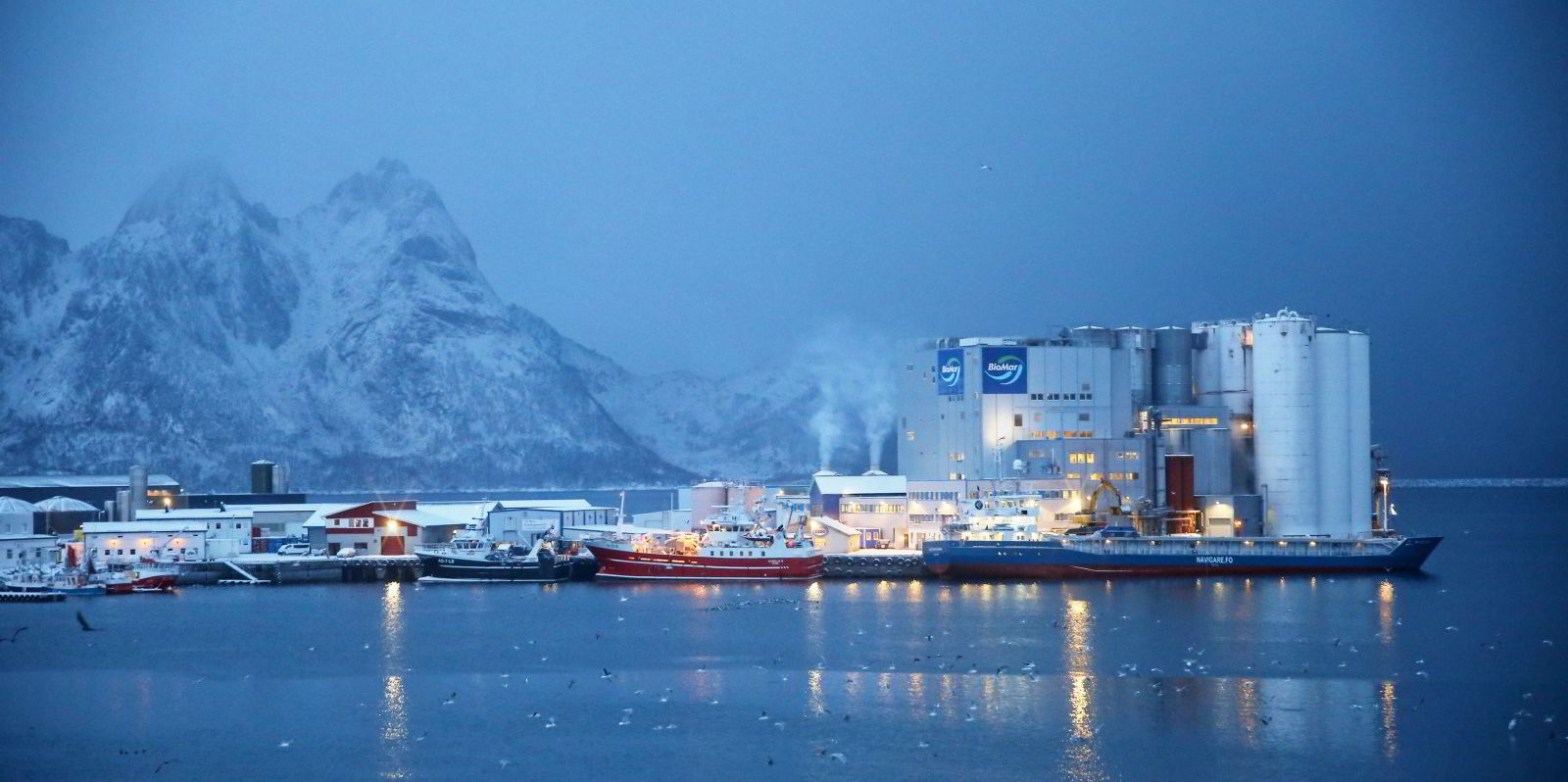 Despite 'a very nasty cocktail' of events in 2022, aquaculture feed ...