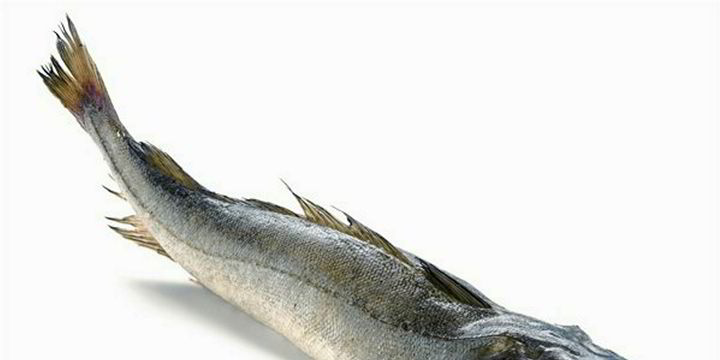 Chile places ban on southern hake fishing | IntraFish.com