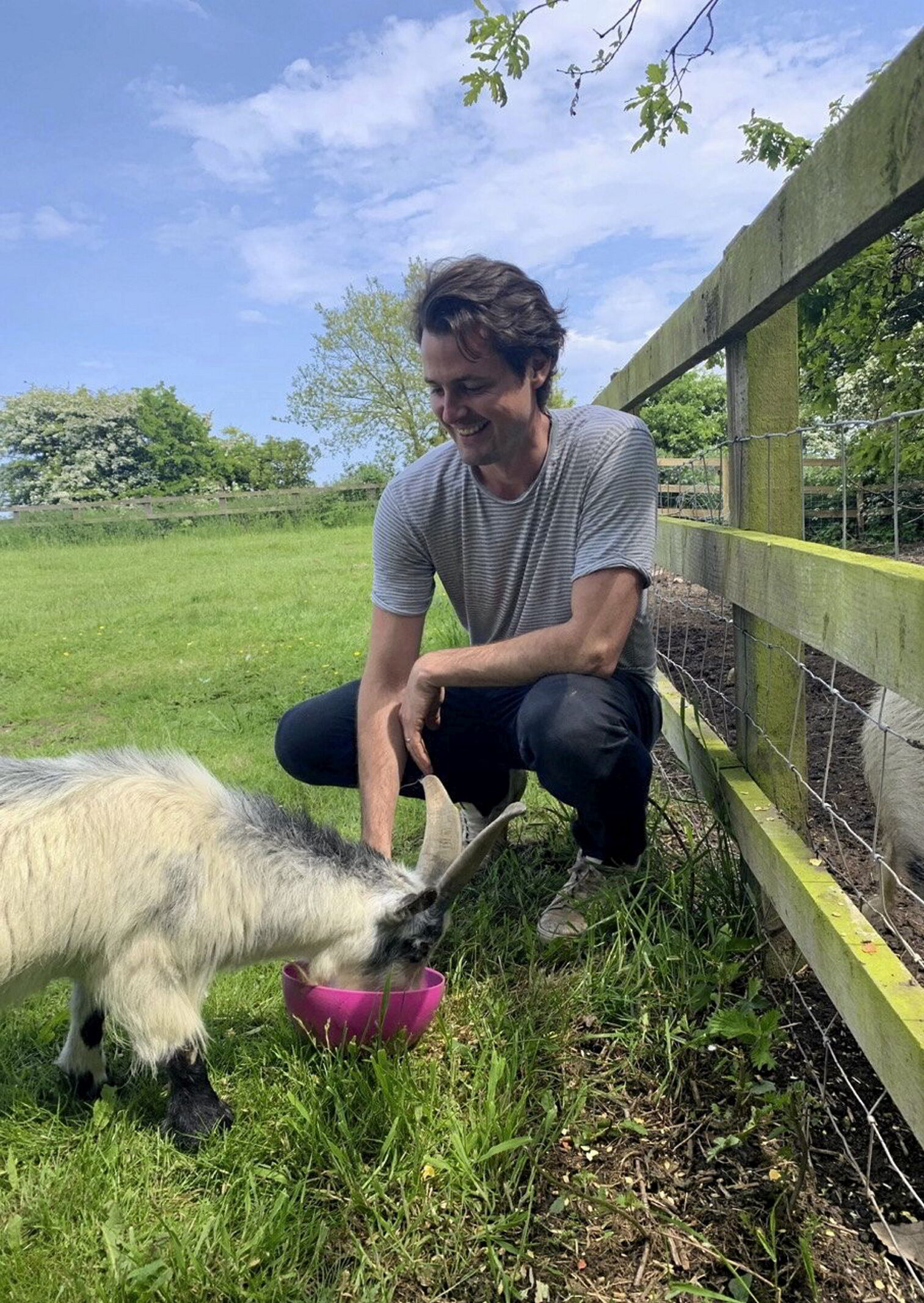 UECC looking to expand bio-LNG supply chain after Titan deal for 2025 ...