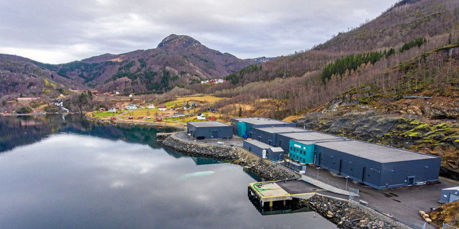 Norge er ikke lengre selvforsynt med rogn | IntraFish.no