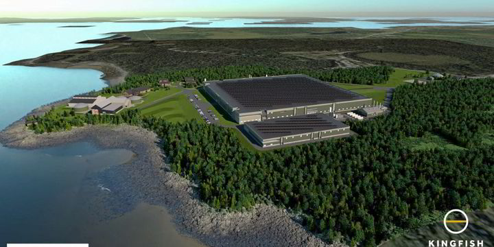 Kingfish Maine land-based yellowtail project wins building permit ...