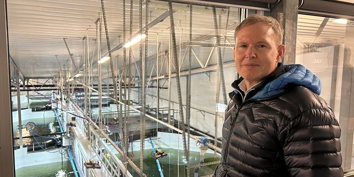 Mowi, SalMar win farmed salmon operating margin race in 2023 ...