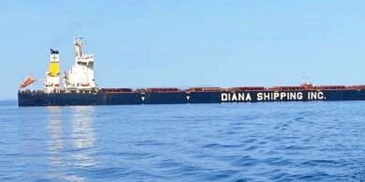 Diana fixes capesize bulker for 16 months at above-market rate | TradeWinds