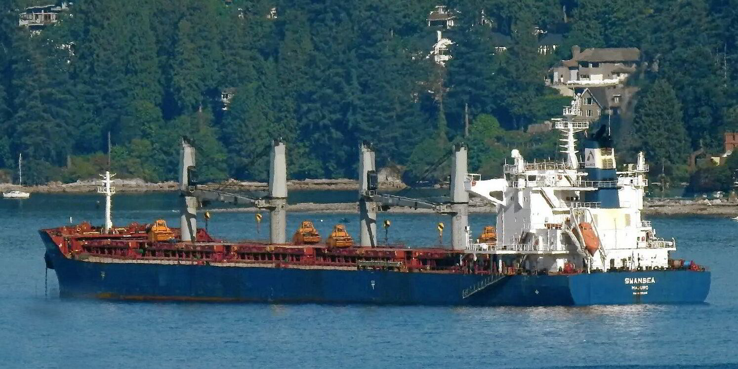 Castor Maritime moves further into boxships as S&P spree rolls on ...