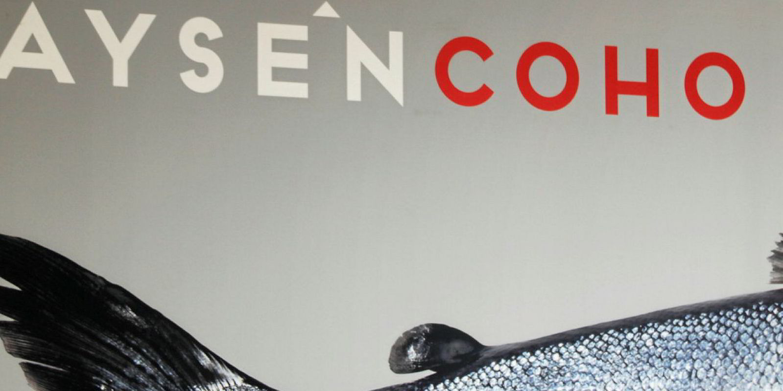 Chilean coho producer sees an opening in European market | IntraFish.com