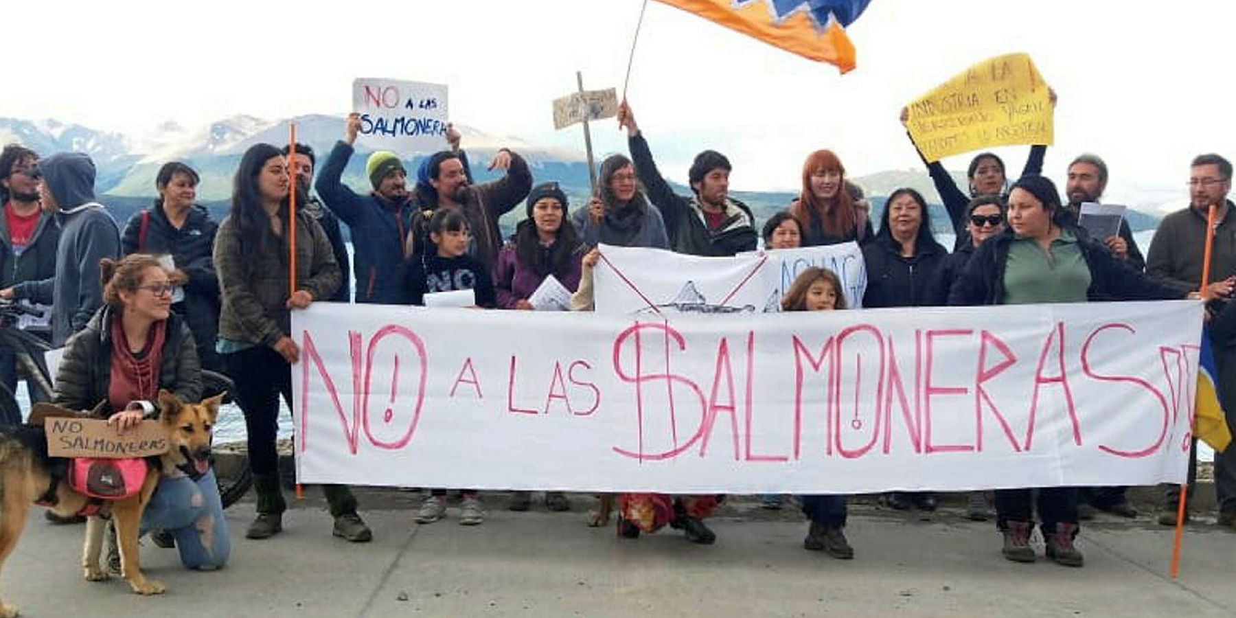 Chilean salmon farms face opposition in Magallanes | IntraFish.com