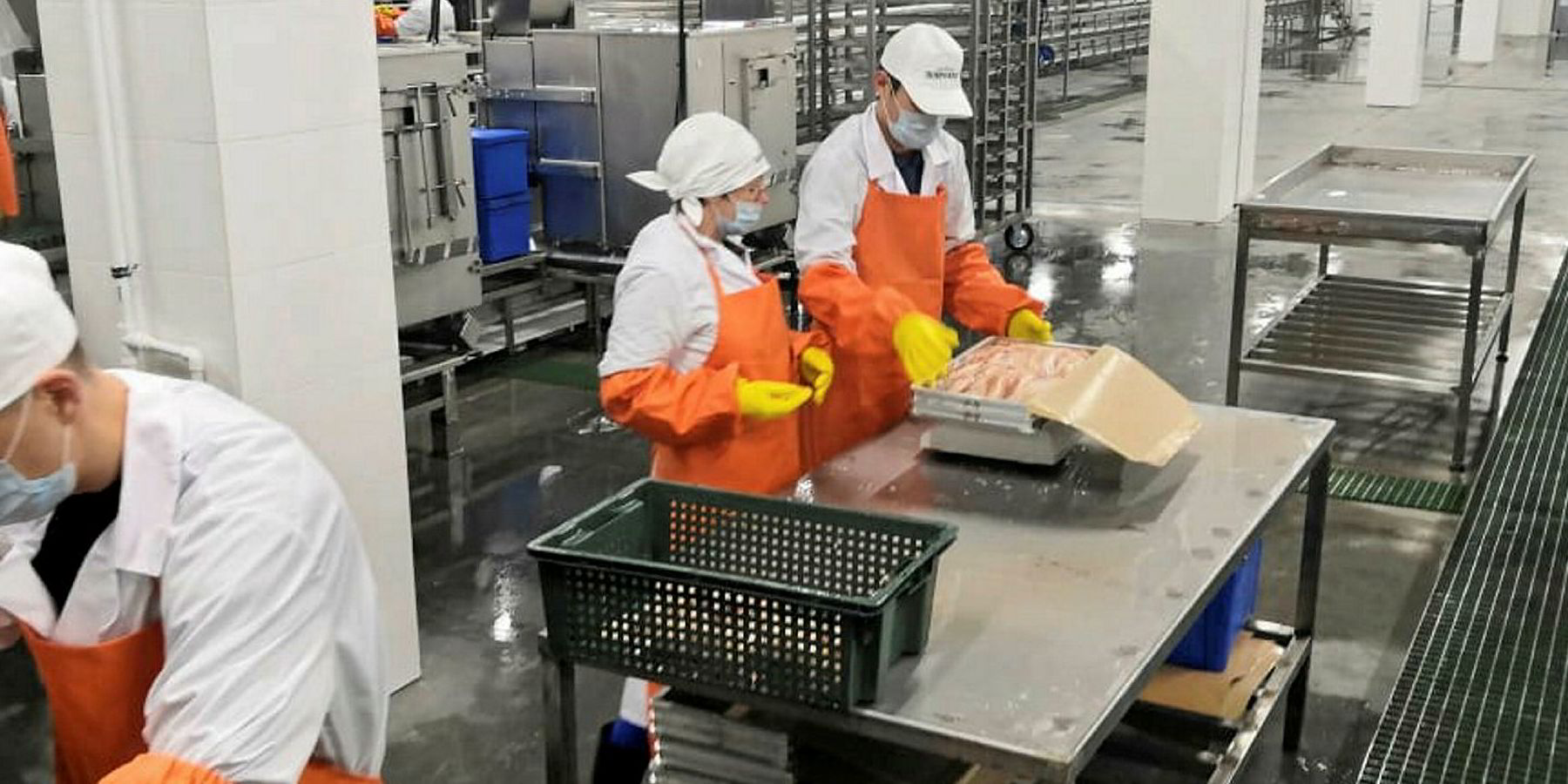 Russia's Dobroflot opening $27 million value-added pollock plant ...