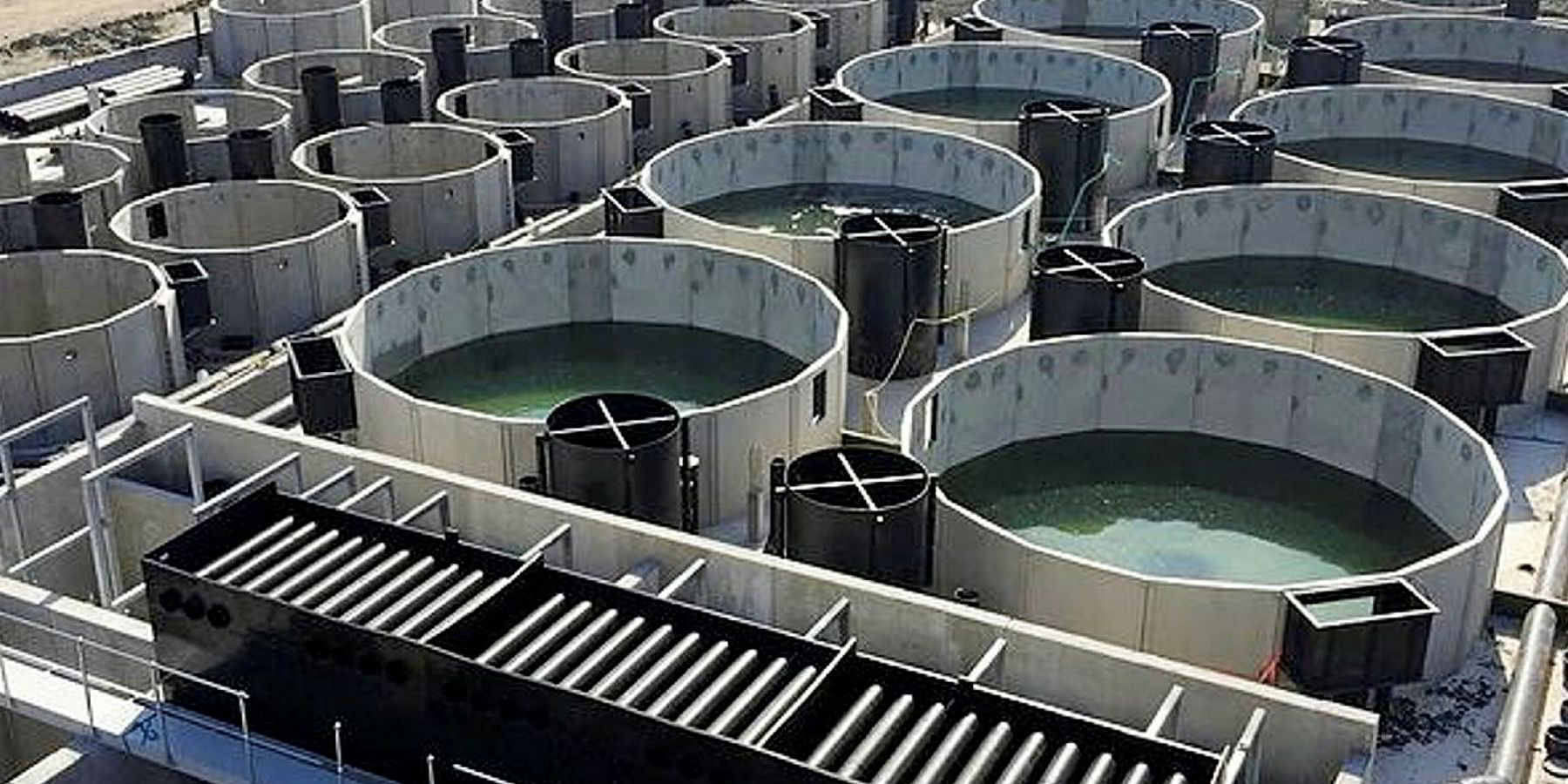 European land-based fish farmer close to deciding on new US location ...