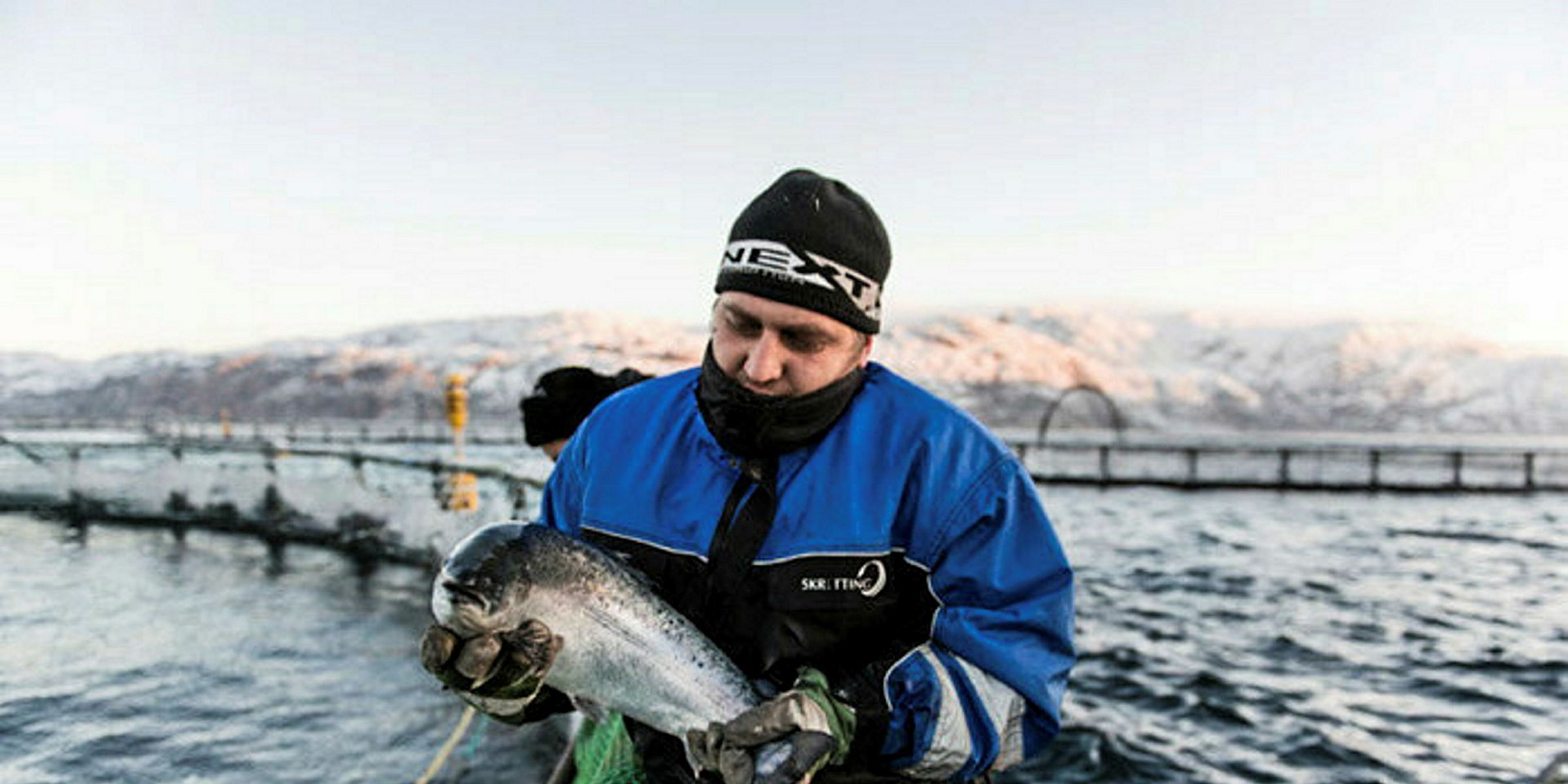 Russian Aquaculture returns to profit in H1 | IntraFish.com