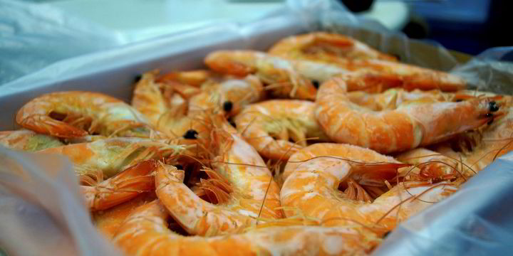 Rabobank: Shrimp sector outlook bright for 2018 | IntraFish.com